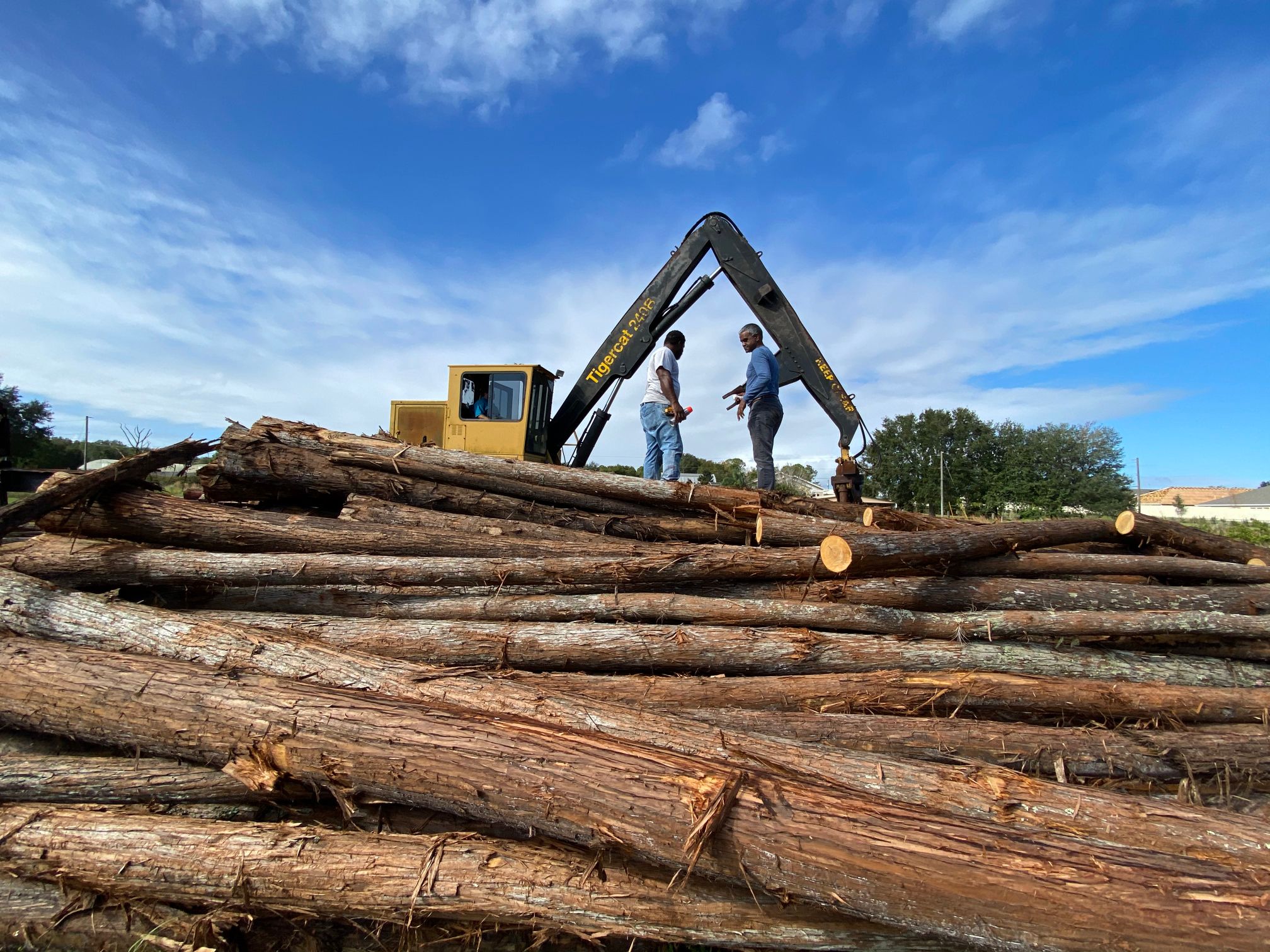 Cypress Poles For Sale Building Supplies The Supply Scout