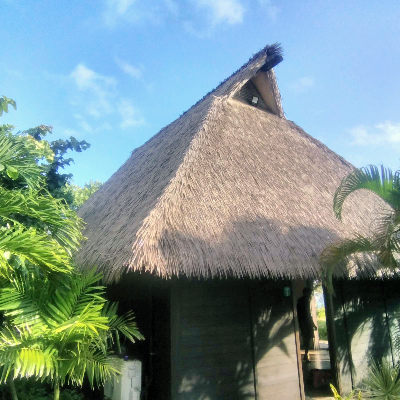 Synthetic Palm Thatch | Artificial Thatch Roof